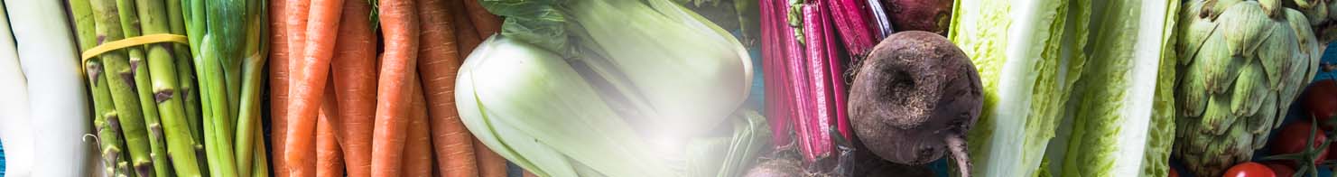 Gro Fresh - Retail Division